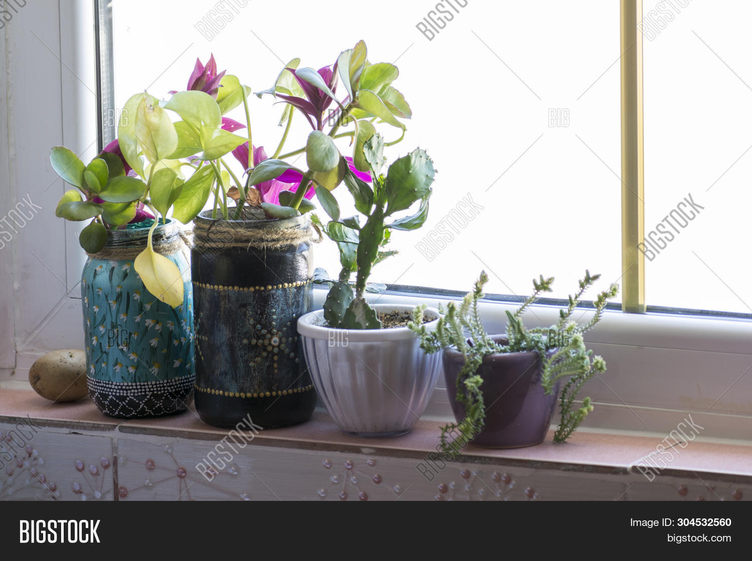 Flowers Pots On Image & Photo (Free Trial) | Bigstock