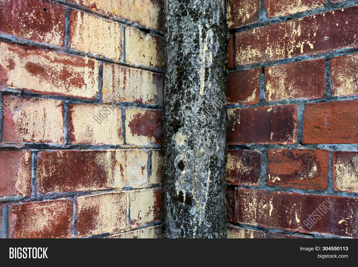 Old Tube Moss Corner Image & Photo (Free Trial) | Bigstock