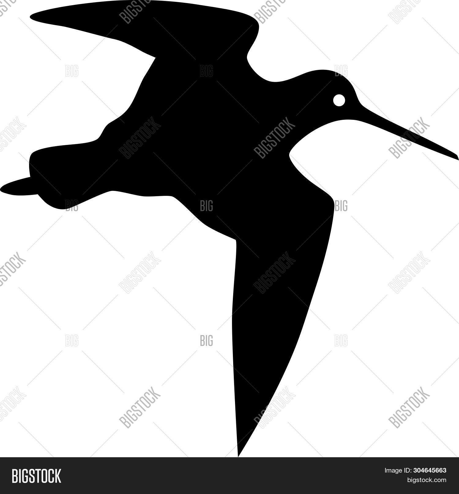 Snipe Bird Black Vector & Photo (Free Trial) | Bigstock