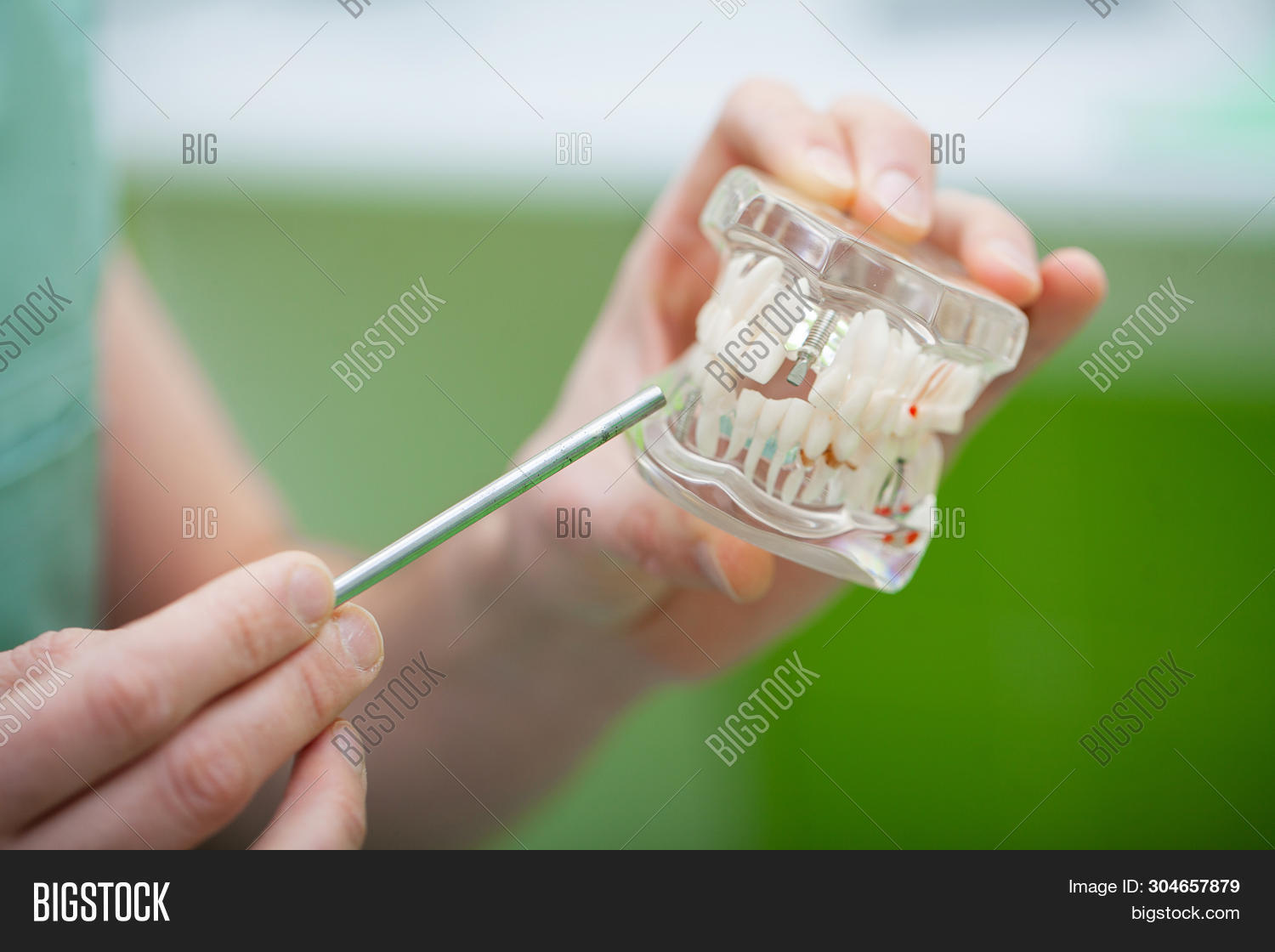 Dentist Hand Holding Image & Photo (Free Trial) | Bigstock