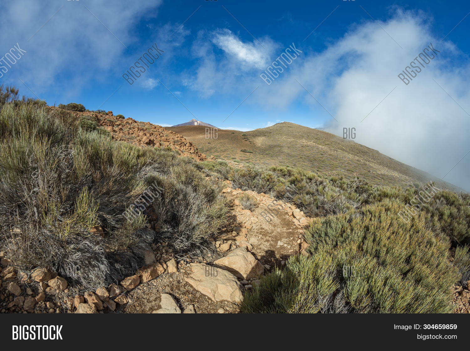 Mountain Teide White Image & Photo (Free Trial) | Bigstock