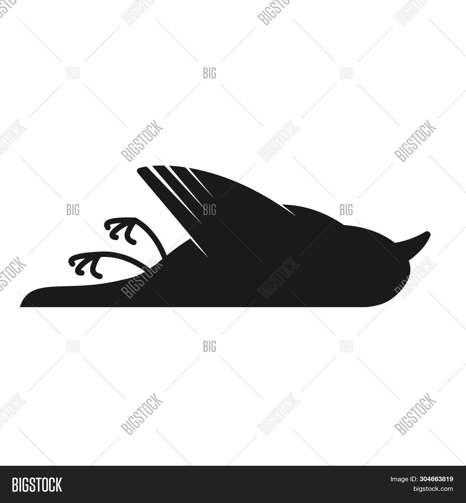 Dead Bird Icon. Image & Photo (Free Trial) | Bigstock