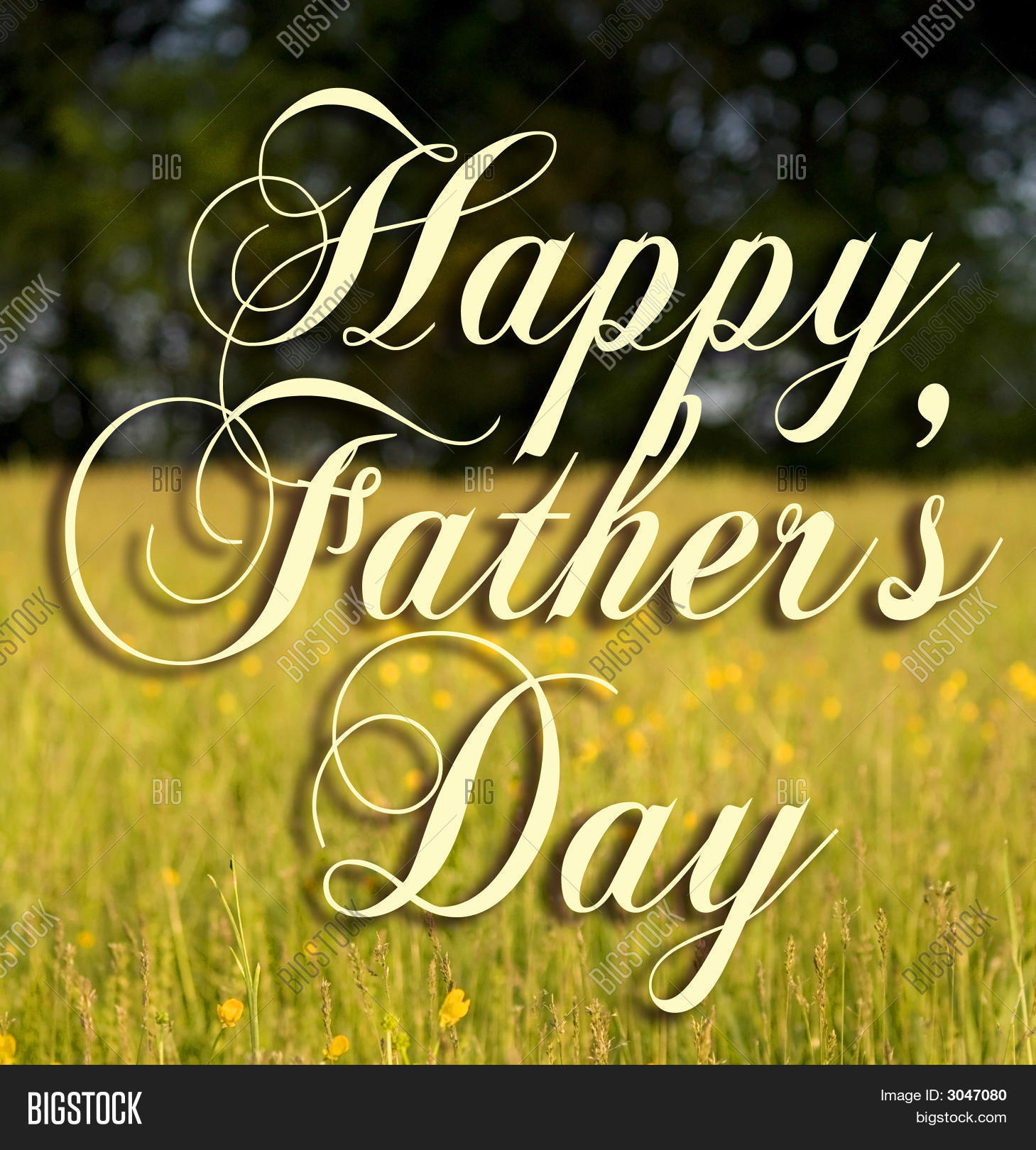Happy Fathers Day Image & Photo (Free Trial) | Bigstock