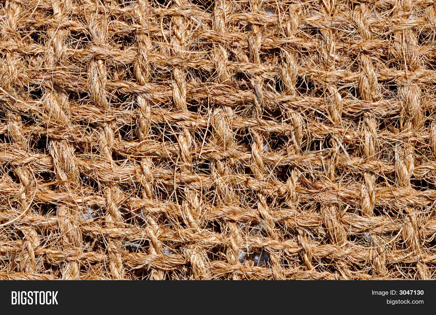 Rough Texture Image & Photo (Free Trial) | Bigstock