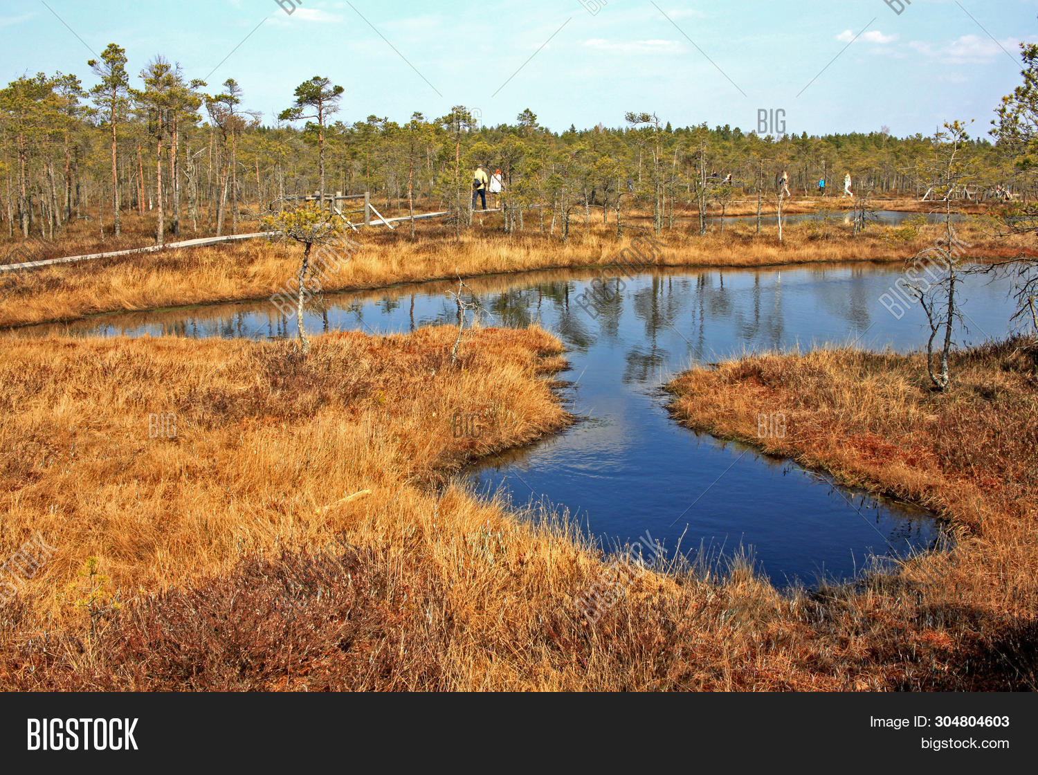 Great Kemeri Bog Image & Photo (Free Trial) | Bigstock