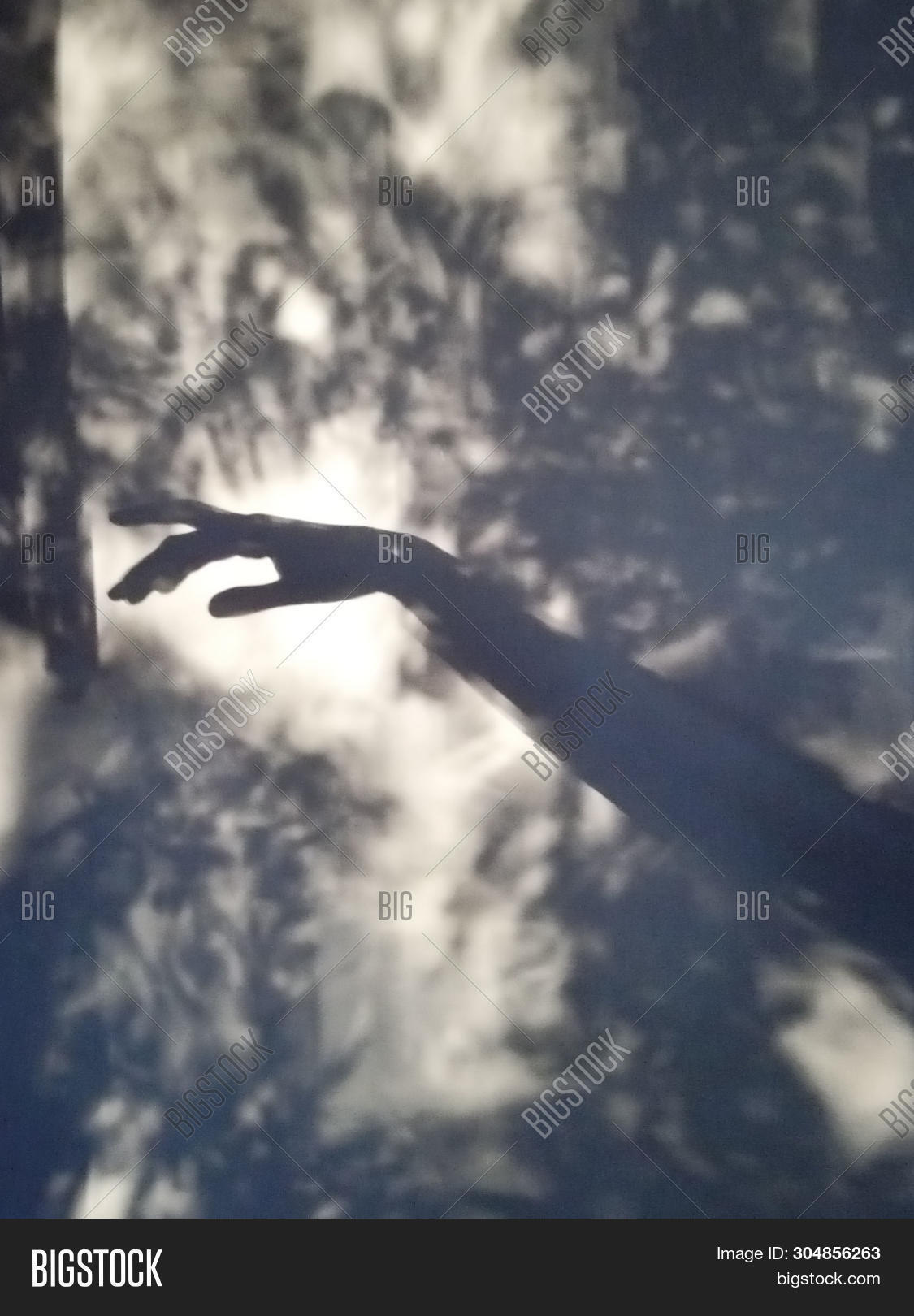 Blurred Shadows On Image & Photo (Free Trial) | Bigstock