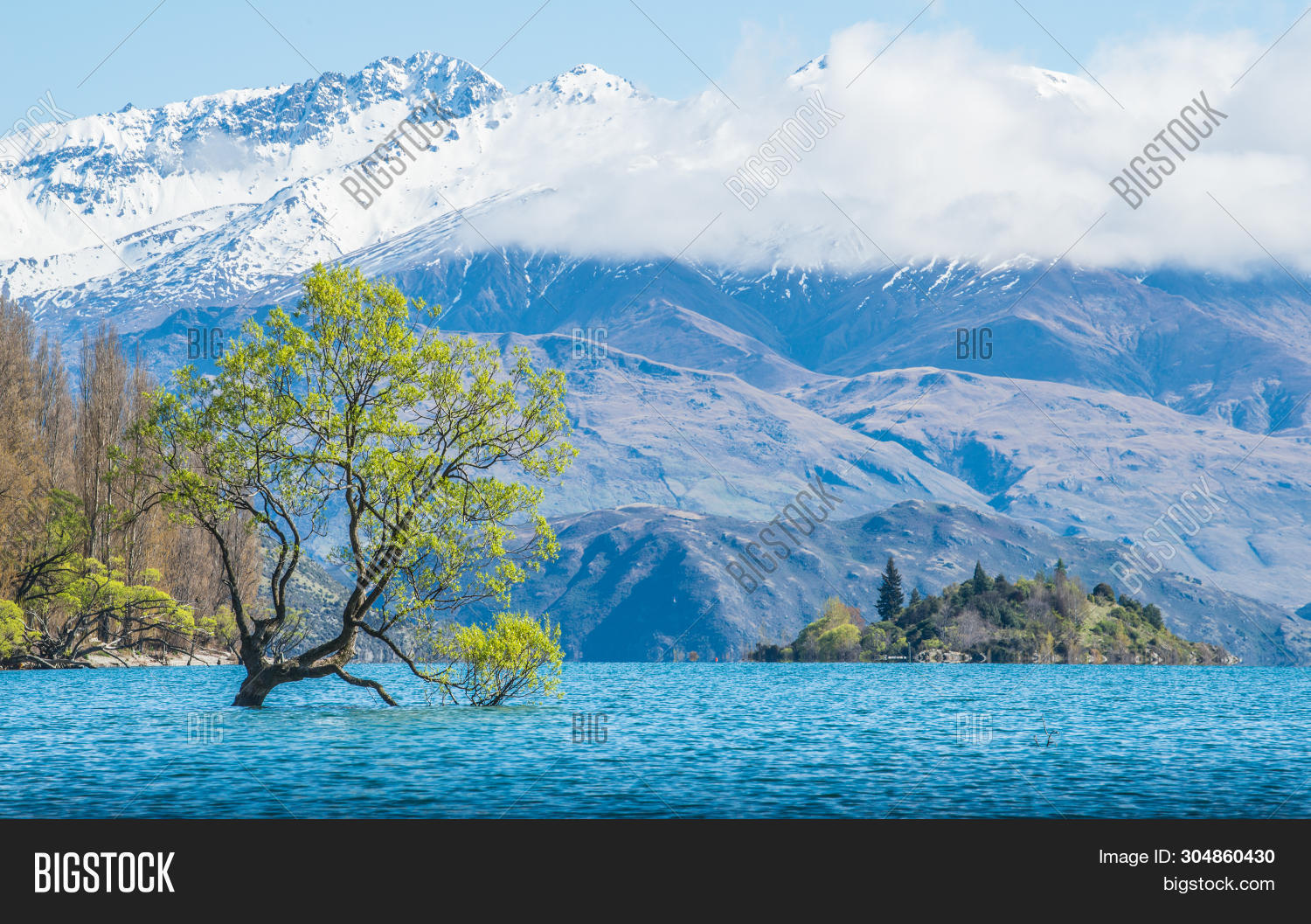 Lone Tree Lake Wanaka Image & Photo (Free Trial) | Bigstock