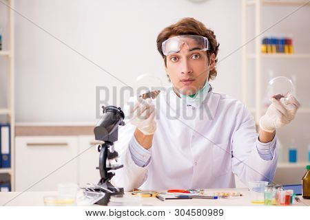 Male Entomologist Image & Photo (Free Trial) | Bigstock