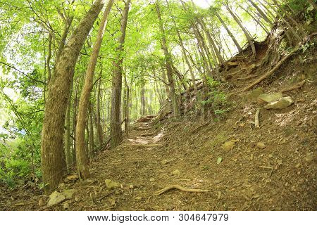Trail On Mountainside Image & Photo (Free Trial) | Bigstock