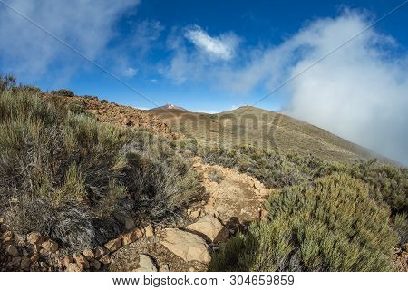 Mountain Teide White Image & Photo (Free Trial) | Bigstock