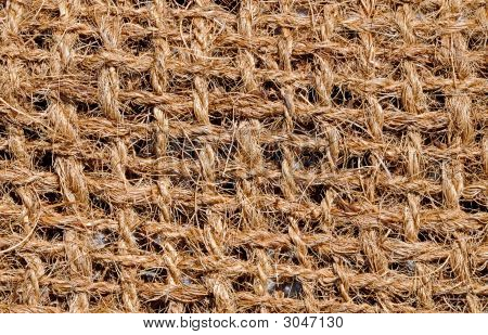 Rough Texture Image & Photo (Free Trial) | Bigstock