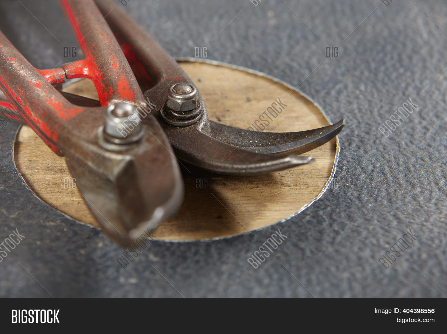 Hand Shearing Round Image & Photo (Free Trial) | Bigstock