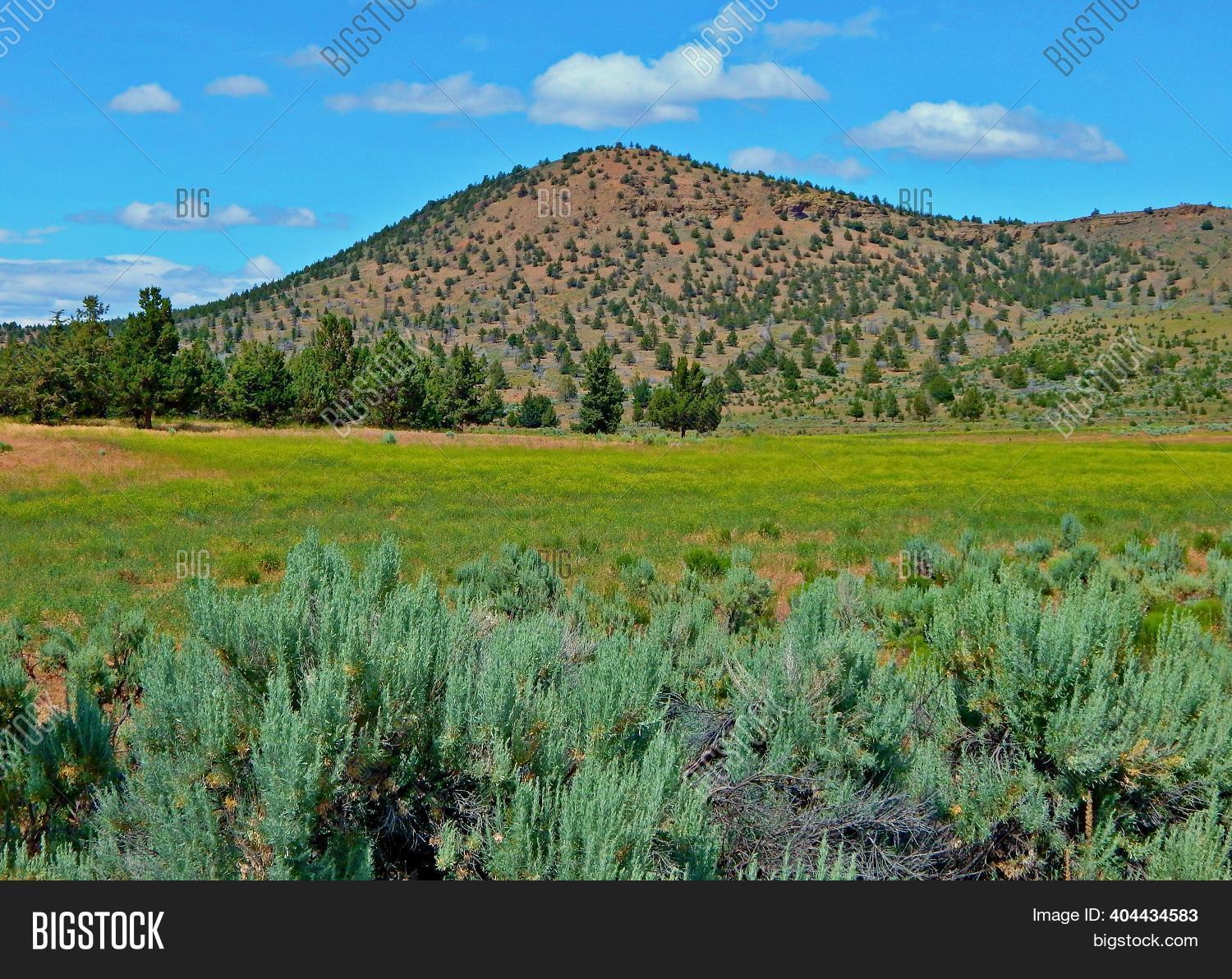 Desert Spring - May Image & Photo (Free Trial) | Bigstock