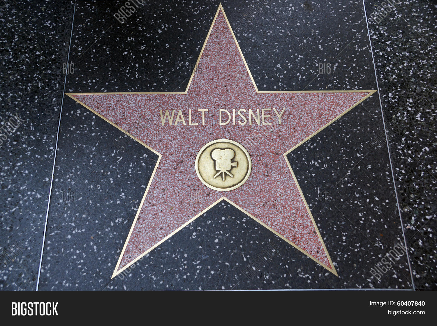 Walt Disney's Star On Image & Photo (Free Trial) | Bigstock