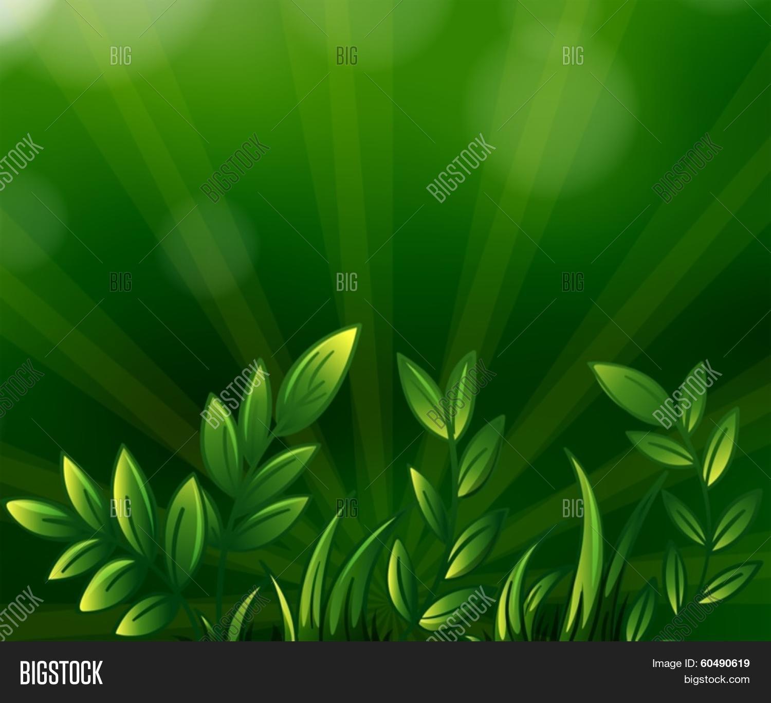 Illustration Green Vector & Photo (Free Trial) | Bigstock