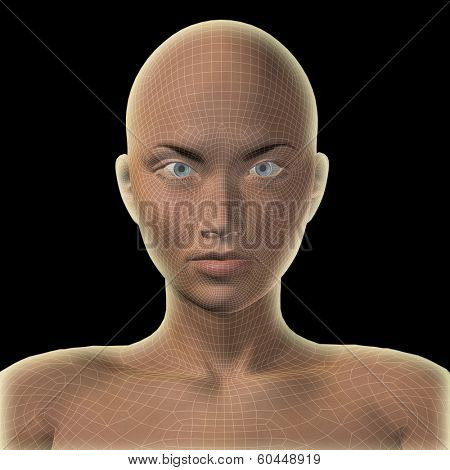 High Resolution Image & Photo (Free Trial) | Bigstock