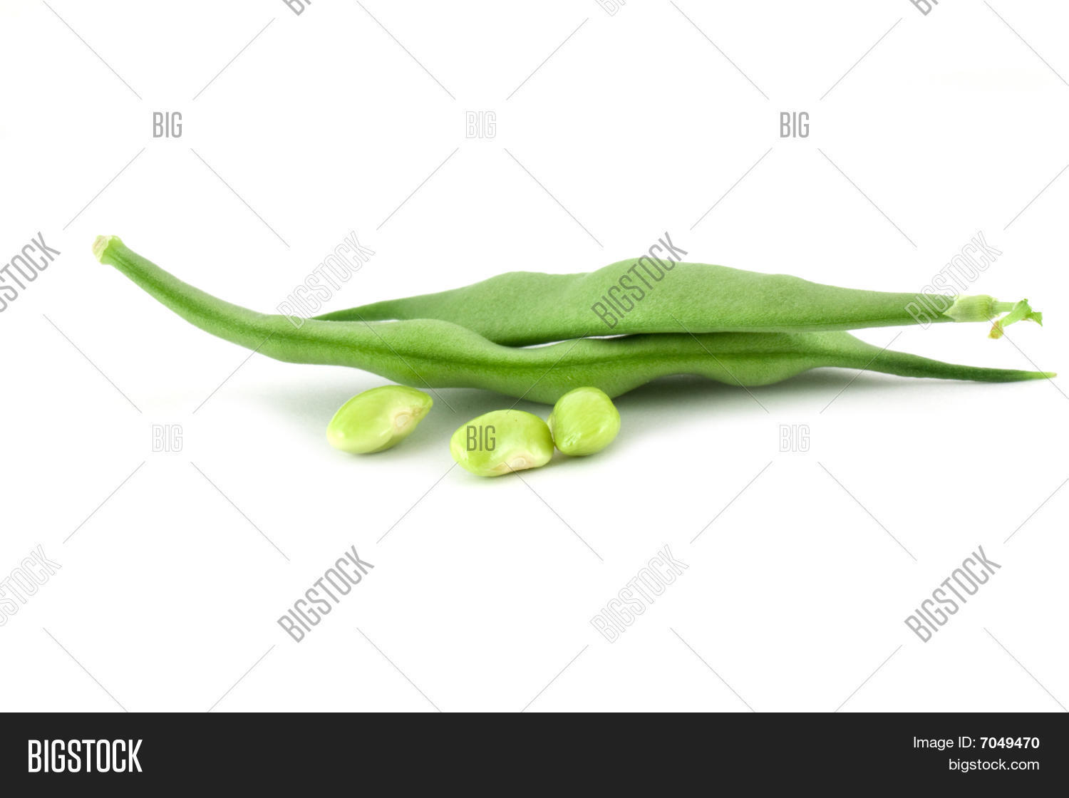 Green Pod Image & Photo (Free Trial) | Bigstock