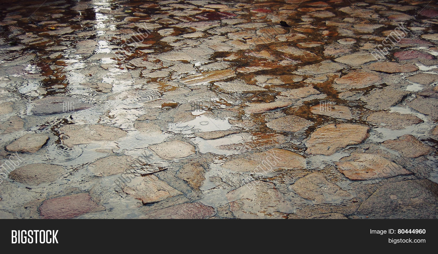 Wet Paving Stone Image & Photo (Free Trial) | Bigstock