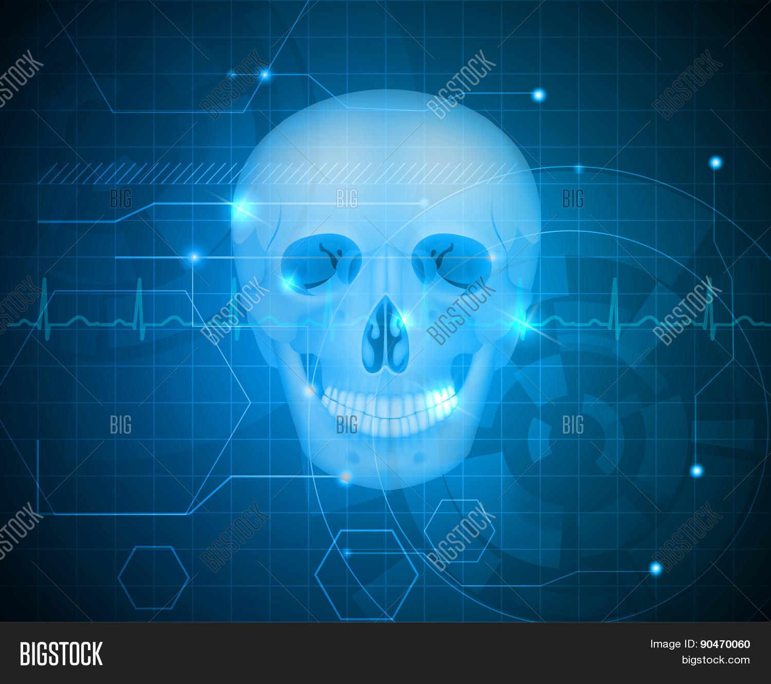 Human Skull Detailed Vector & Photo (Free Trial) | Bigstock