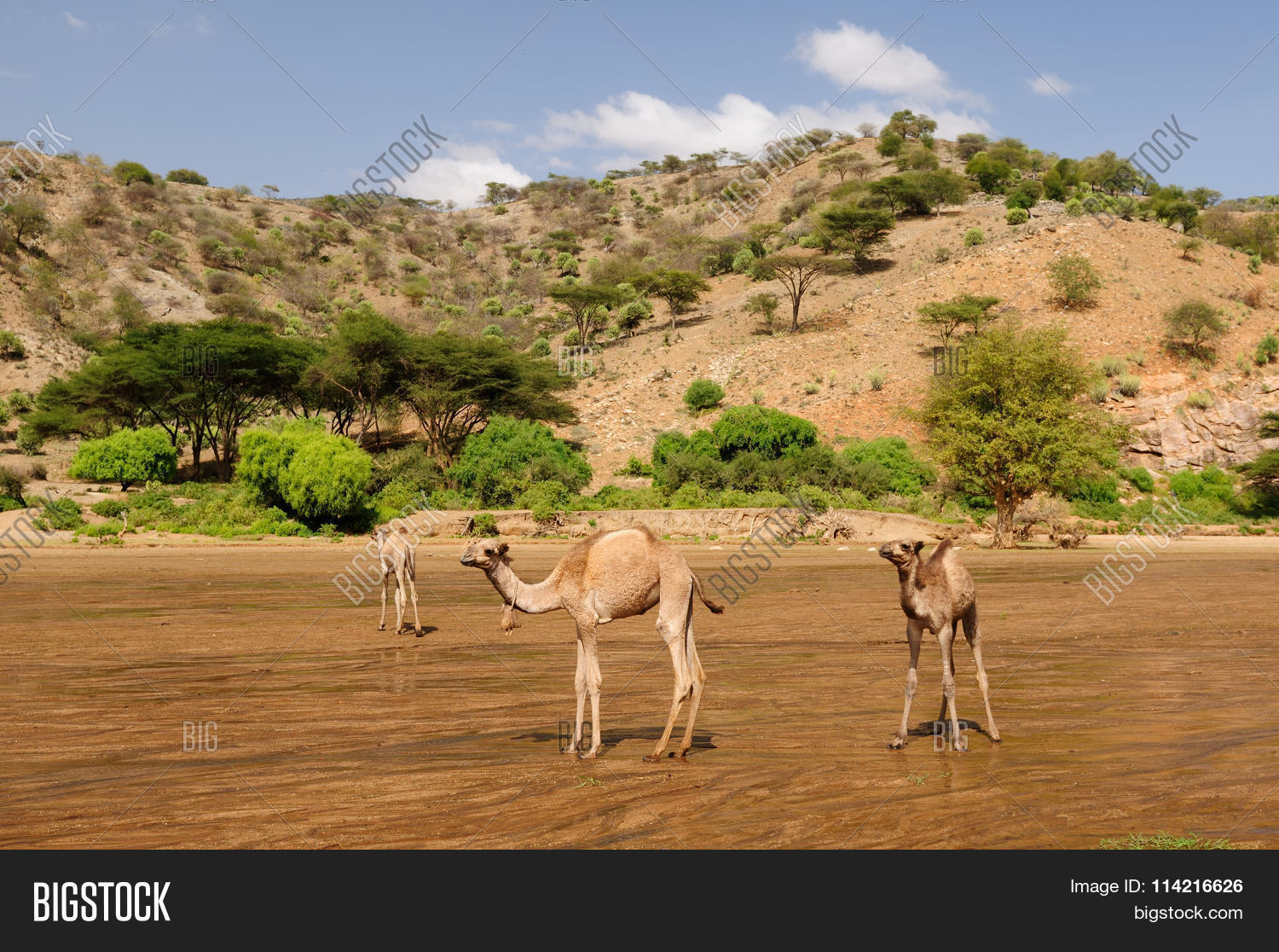 Village South Horr Set Image & Photo (Free Trial) | Bigstock