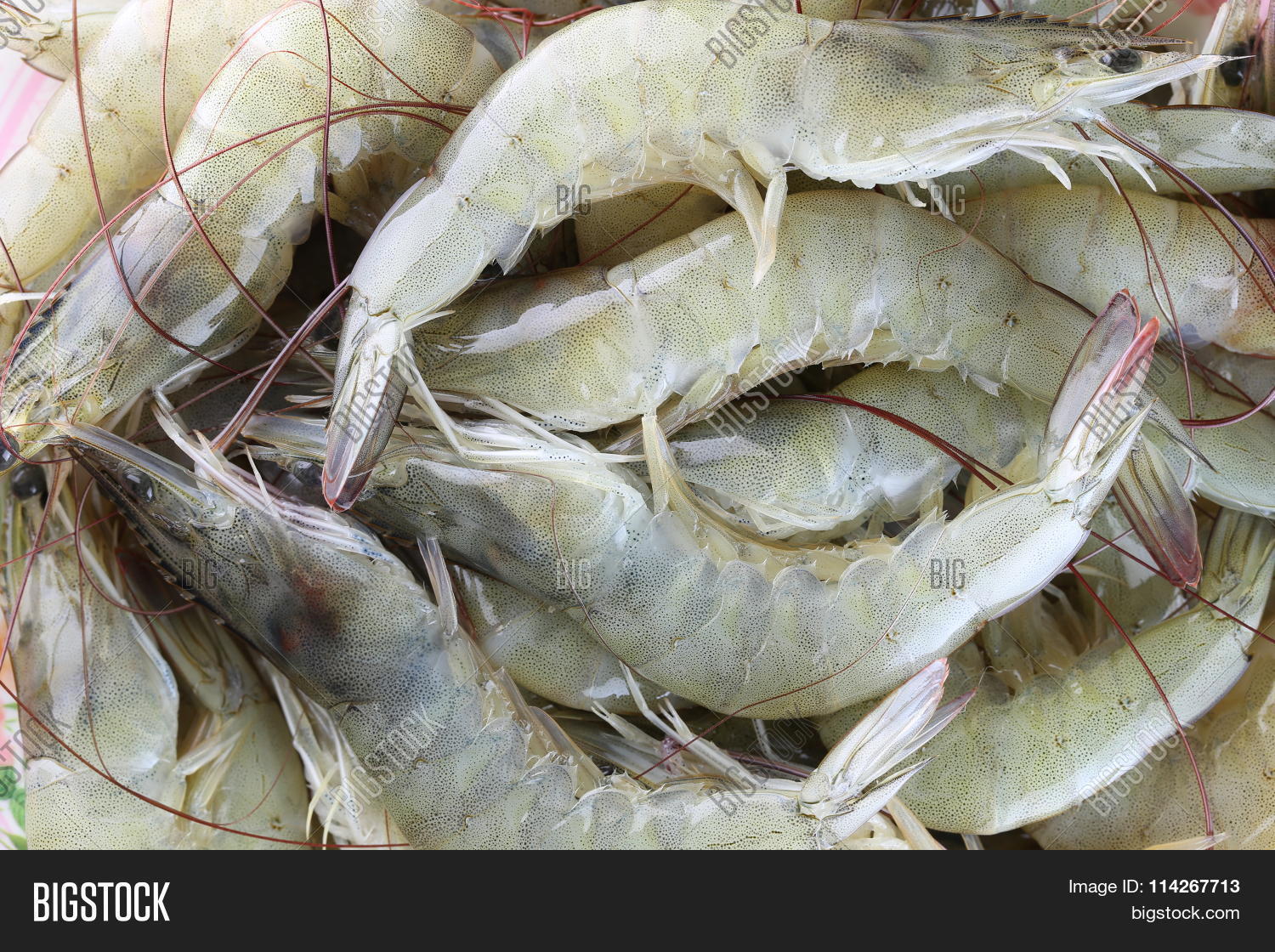 Fresh Raw Shrimp Image & Photo (Free Trial) | Bigstock