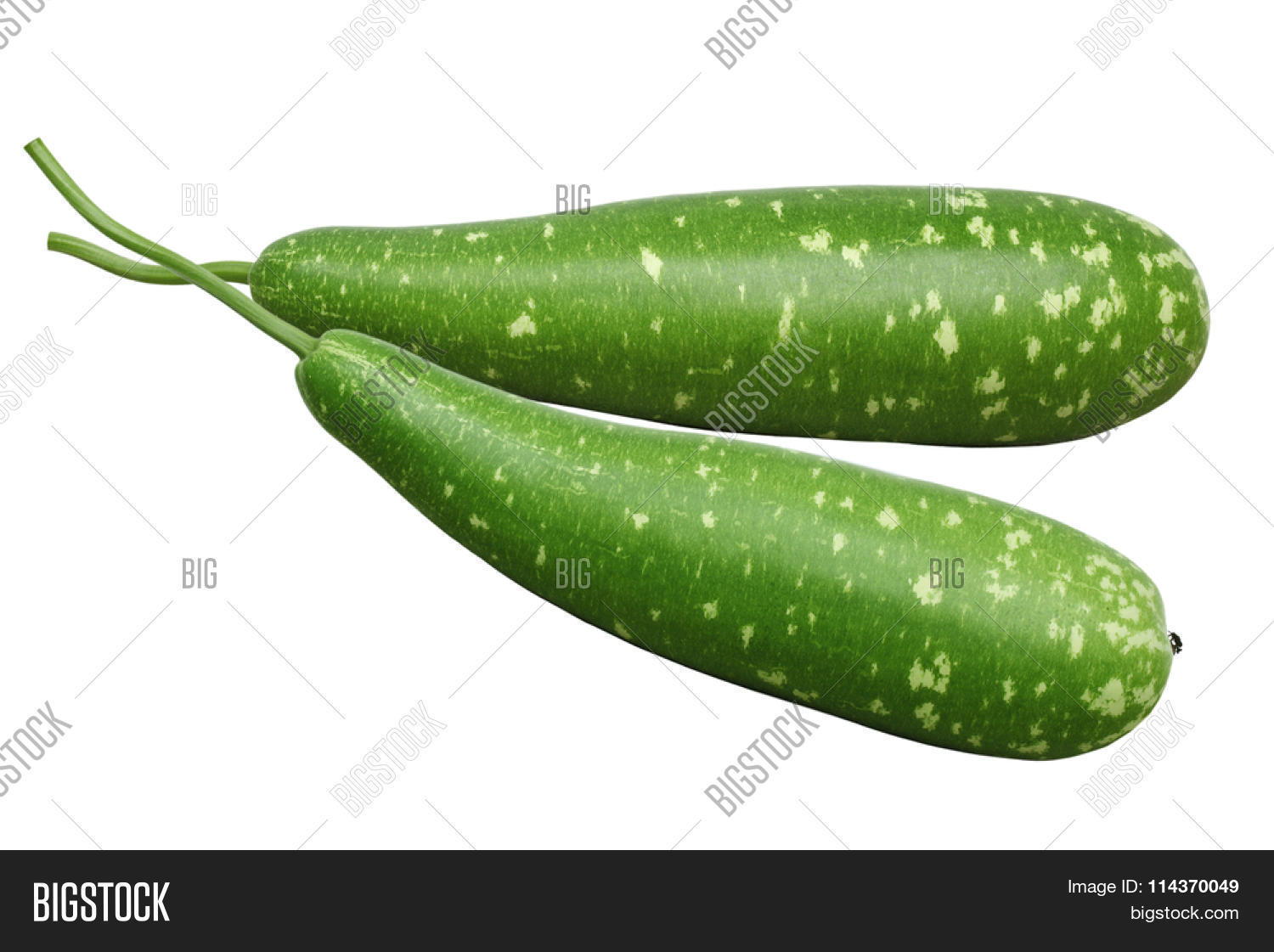 Bi Color Calabash Image & Photo (Free Trial) | Bigstock