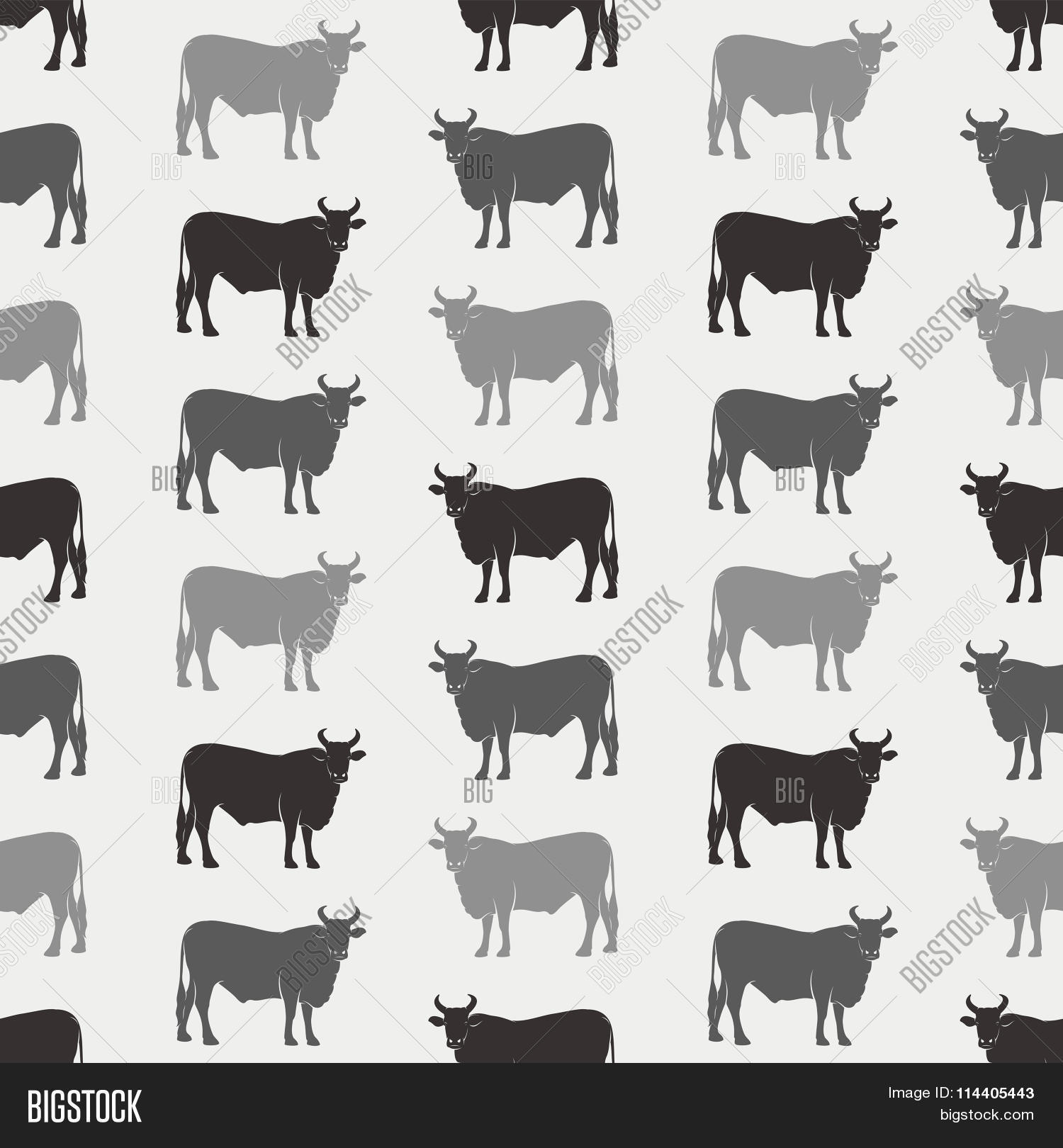 Cow Vector Art Vector & Photo (Free Trial) | Bigstock