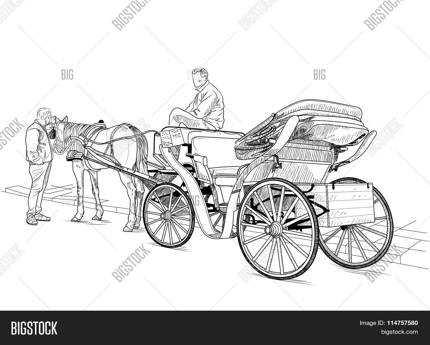 Horse Drawn Carriage Drawing