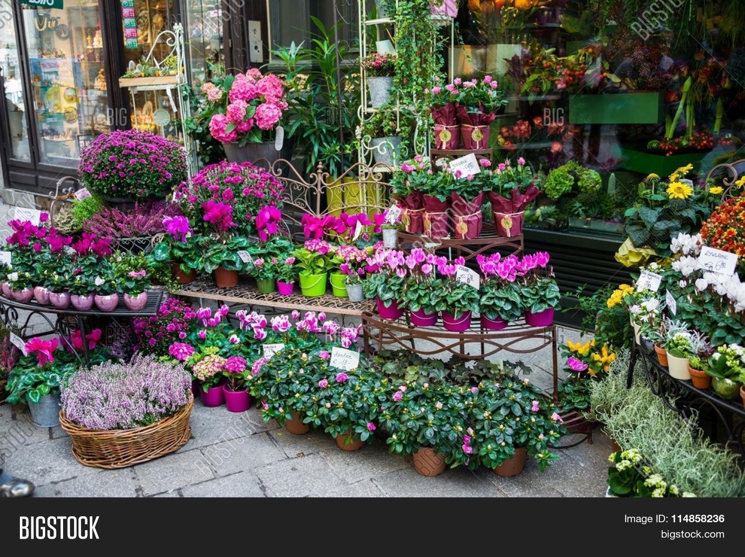 Street Flower Shop Image & Photo (Free Trial) | Bigstock