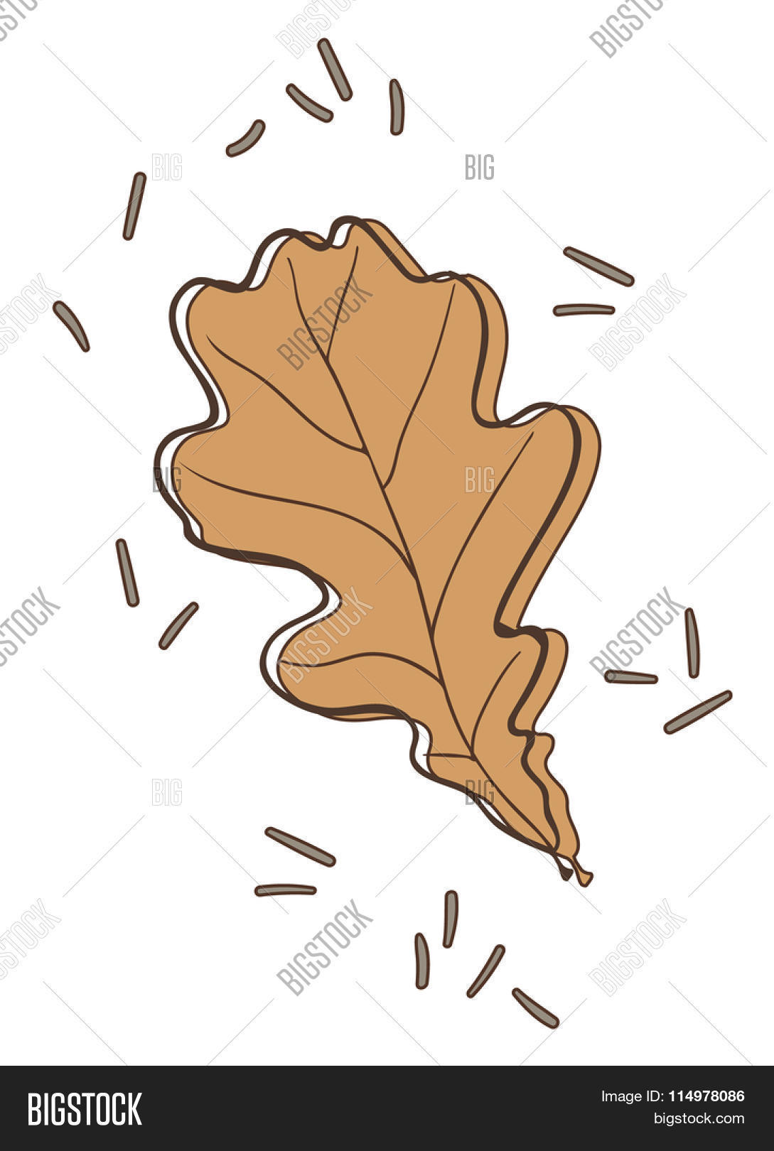 Oak Tree Leaf Vector Vector & Photo (Free Trial) | Bigstock