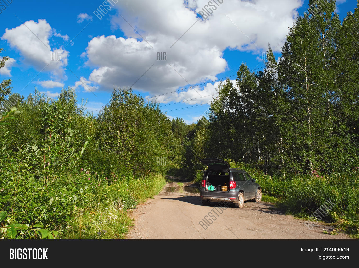 Car Stands On Forest Image & Photo (Free Trial) | Bigstock
