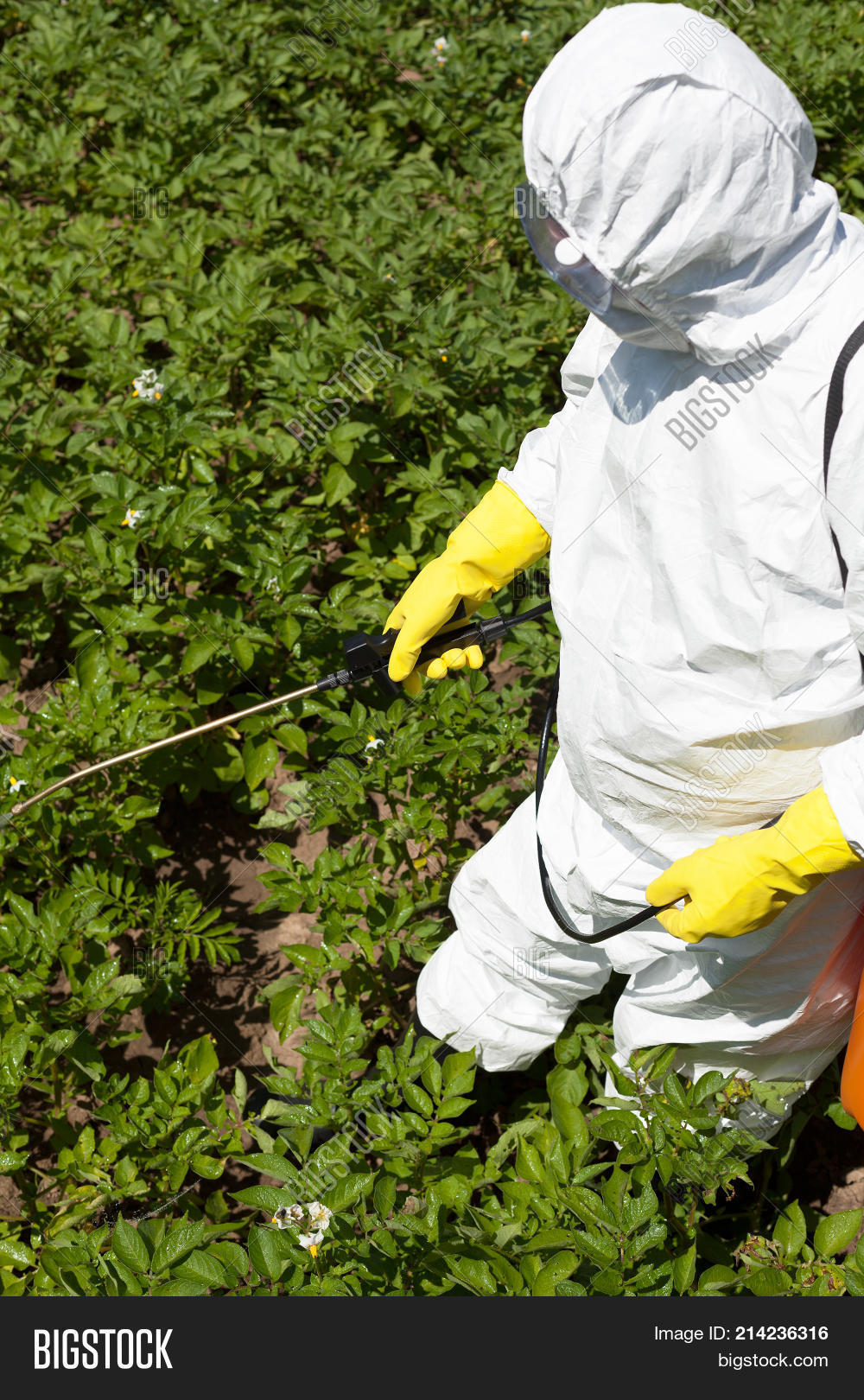 Farmer Spraying Toxic Image & Photo (Free Trial) | Bigstock
