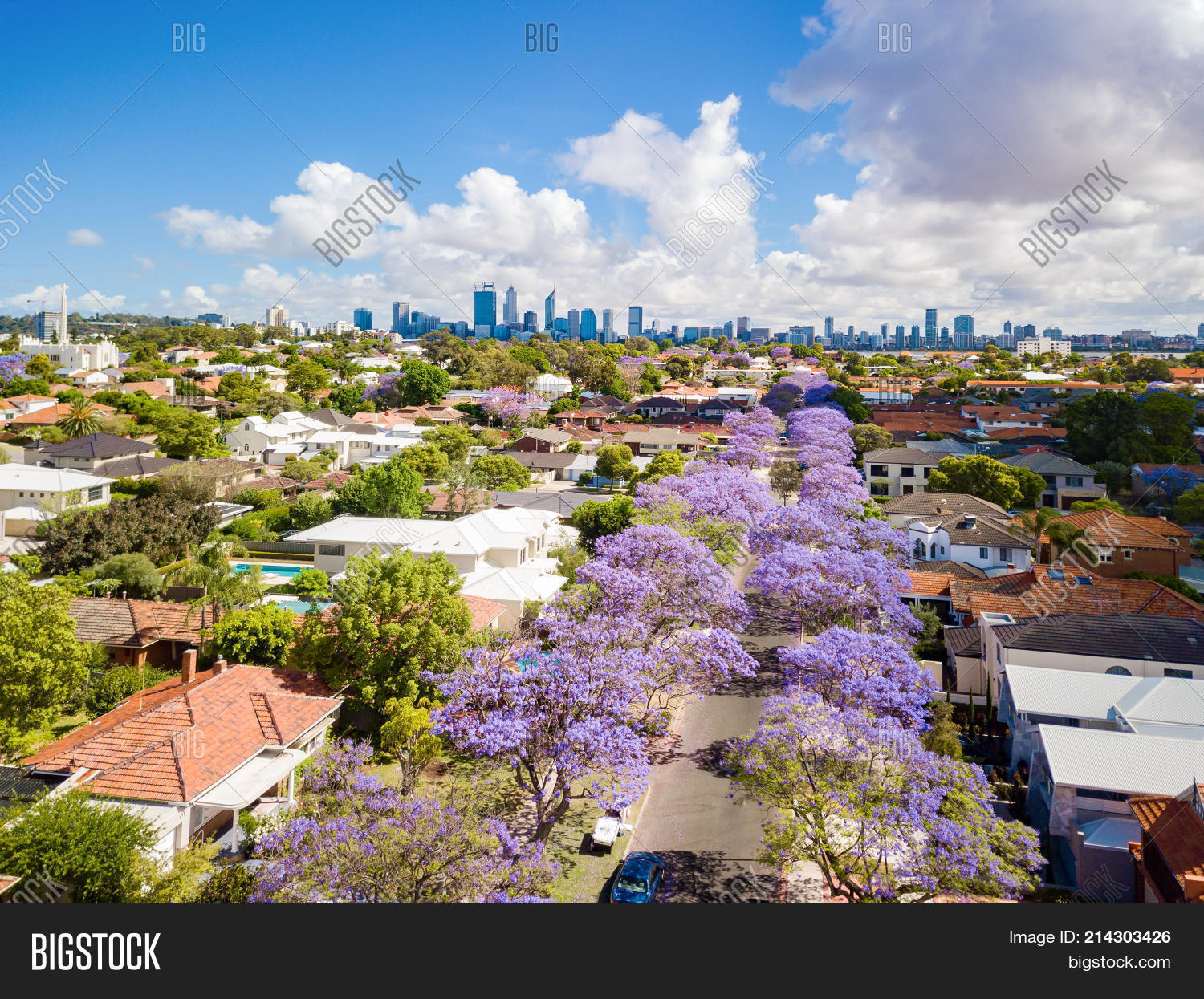 Street South Perth, Image & Photo (Free Trial) | Bigstock