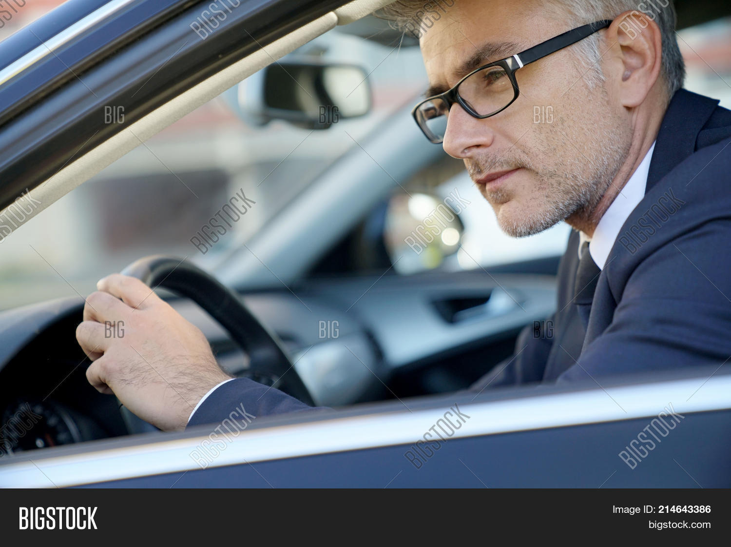 Portrait Businessman Image & Photo (Free Trial) | Bigstock