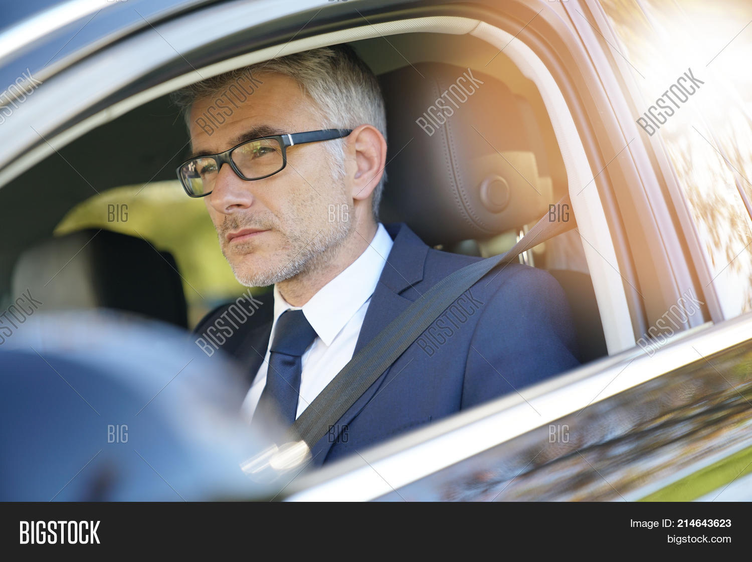 Private Taxi Driver Image & Photo (Free Trial) | Bigstock