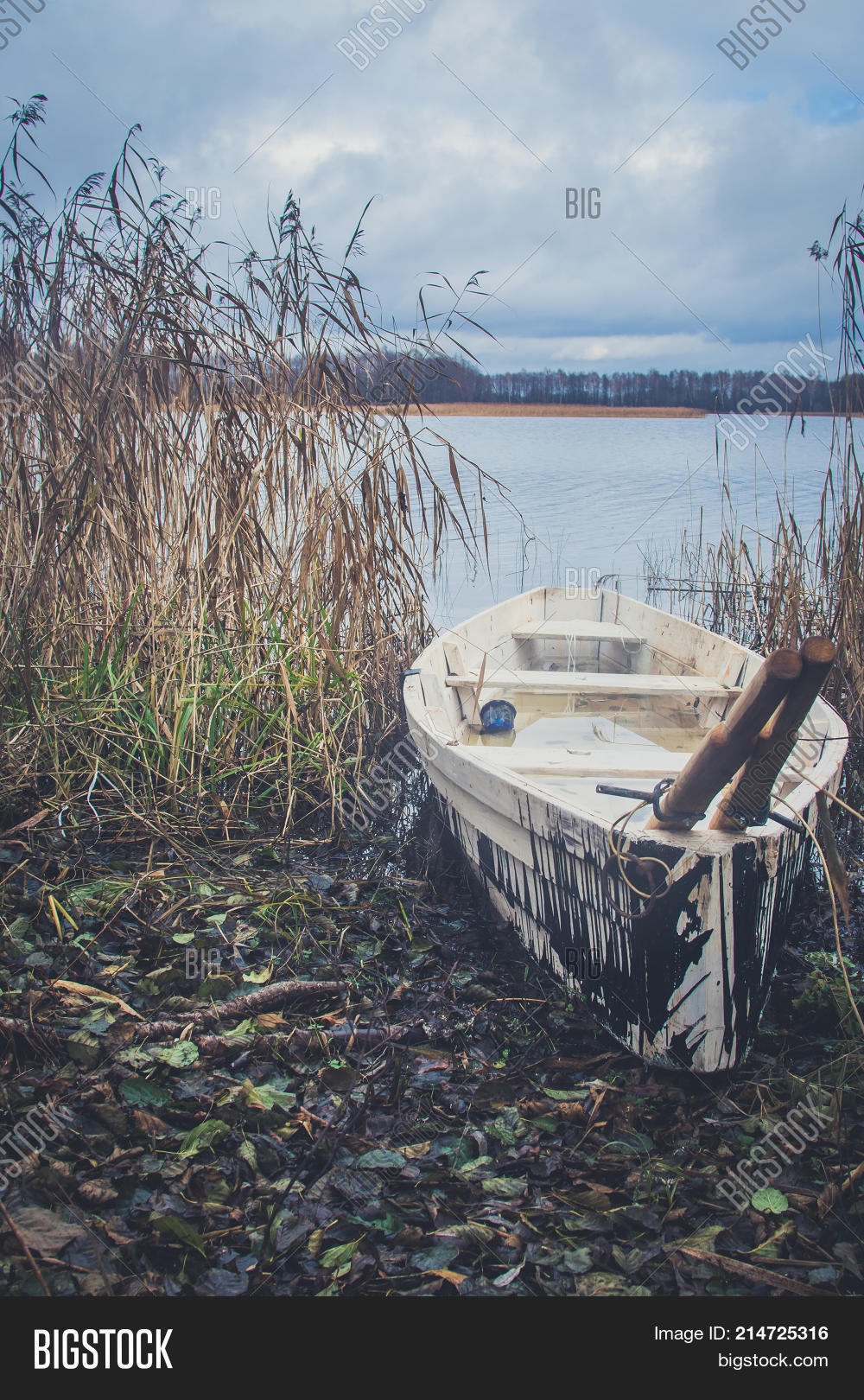 Boat On River, Lake. Image & Photo (Free Trial) | Bigstock