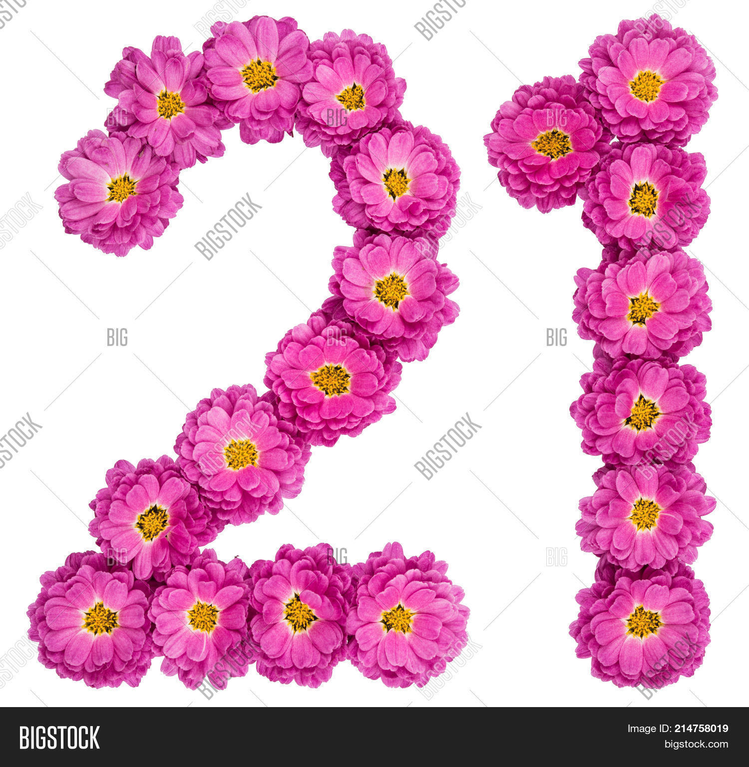 Arabic Numeral 21, Image & Photo (Free Trial) | Bigstock