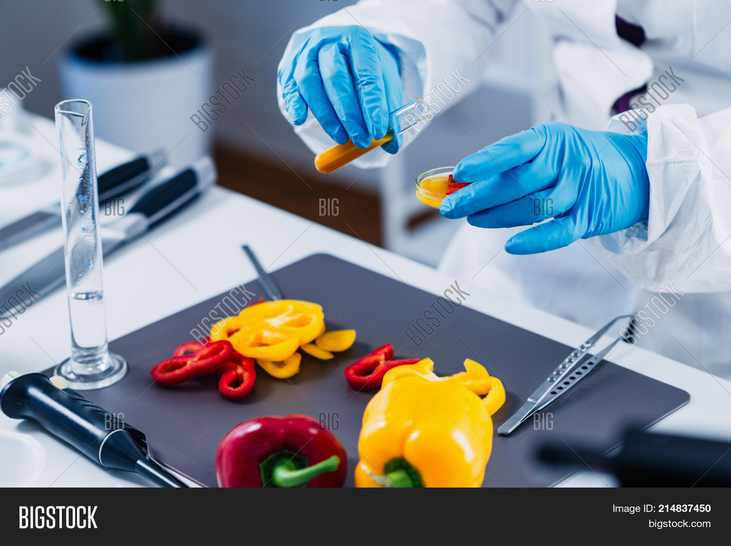 Quality Control Food Image & Photo (Free Trial) | Bigstock