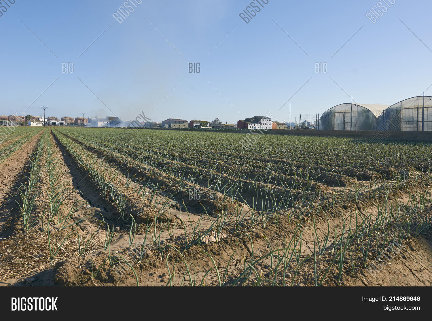 Fields Garden Image & Photo (Free Trial) | Bigstock