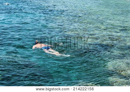 Woman Diving Into Water Images, Illustrations, Vectors - Woman Diving ...