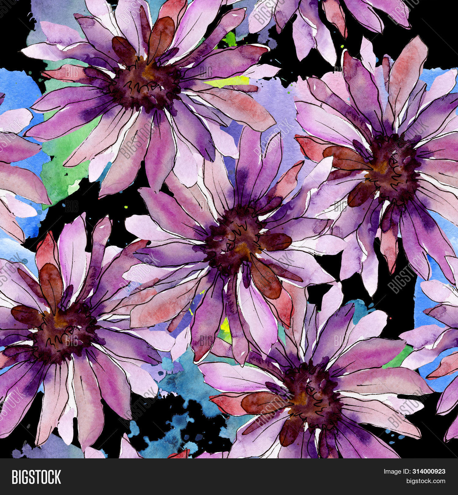 Aster Floral Botanical Image & Photo (Free Trial) | Bigstock