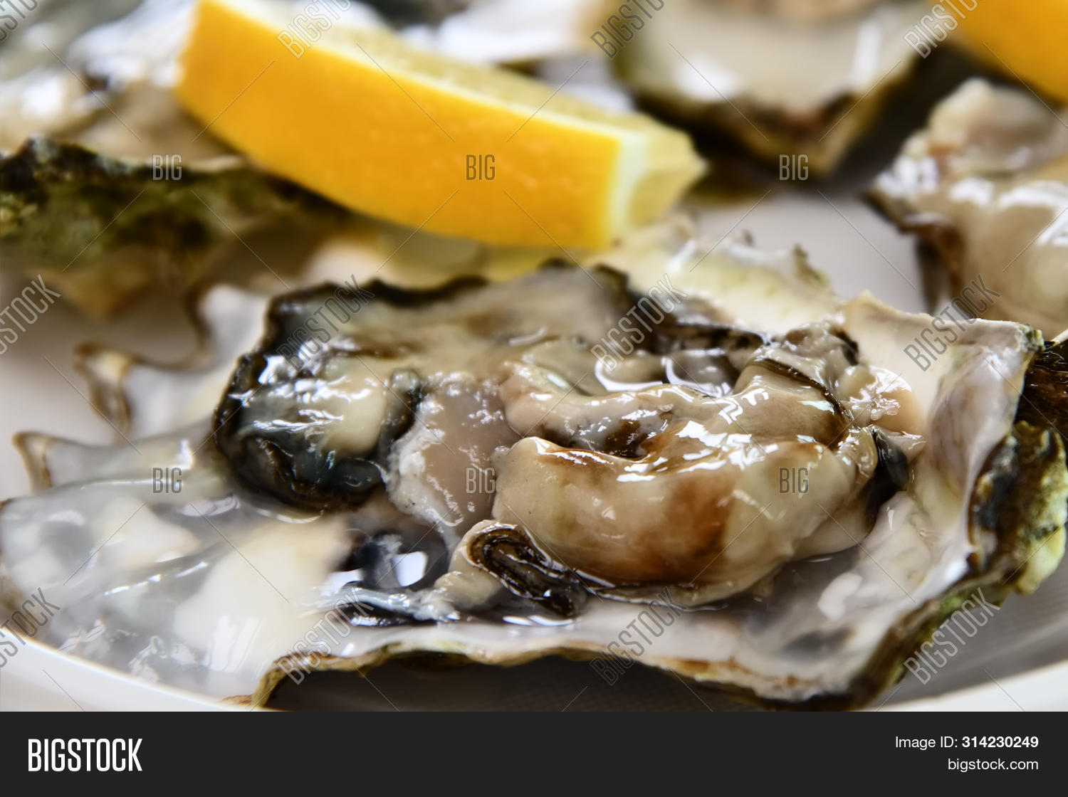 Fresh Raw Oysters Image & Photo (Free Trial) | Bigstock