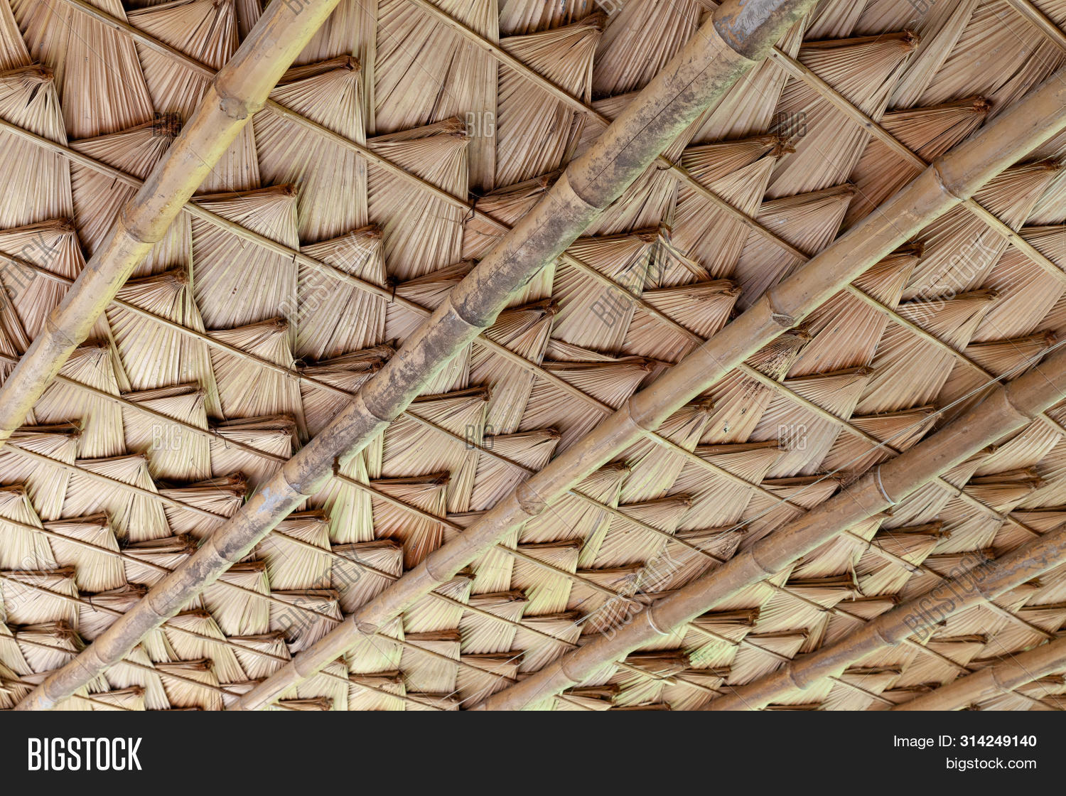 Structure Bamboo Huts Image & Photo (Free Trial) | Bigstock