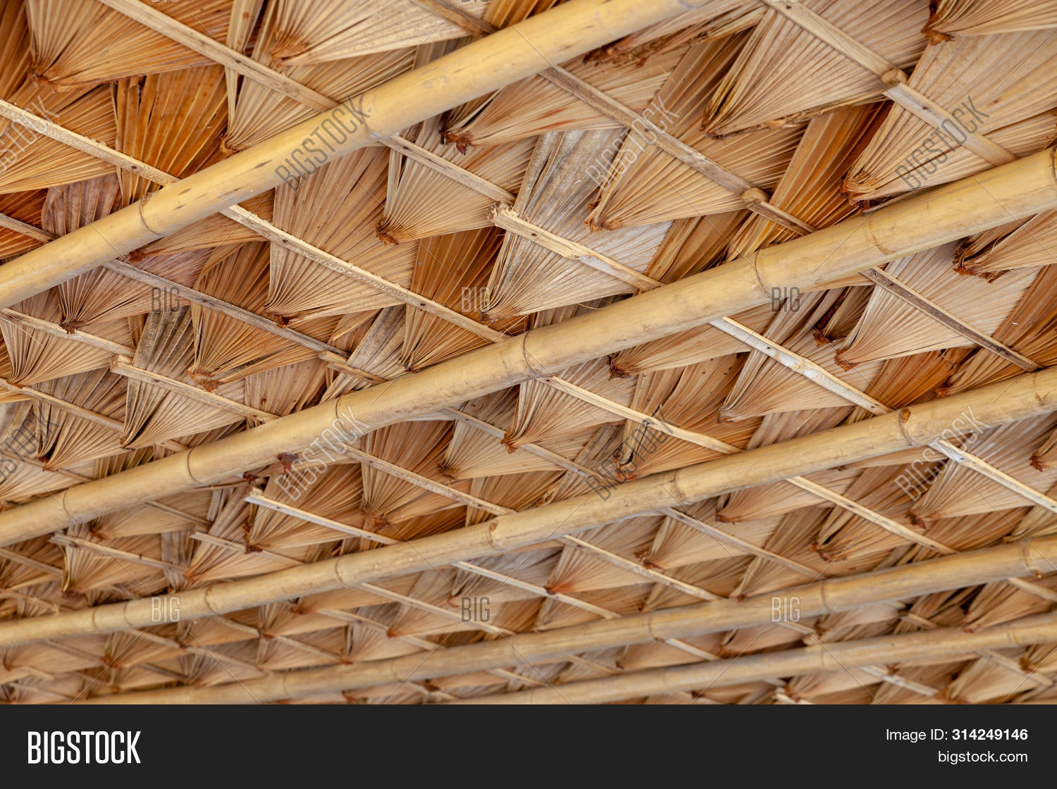 Structure Bamboo Huts Image & Photo (Free Trial) | Bigstock