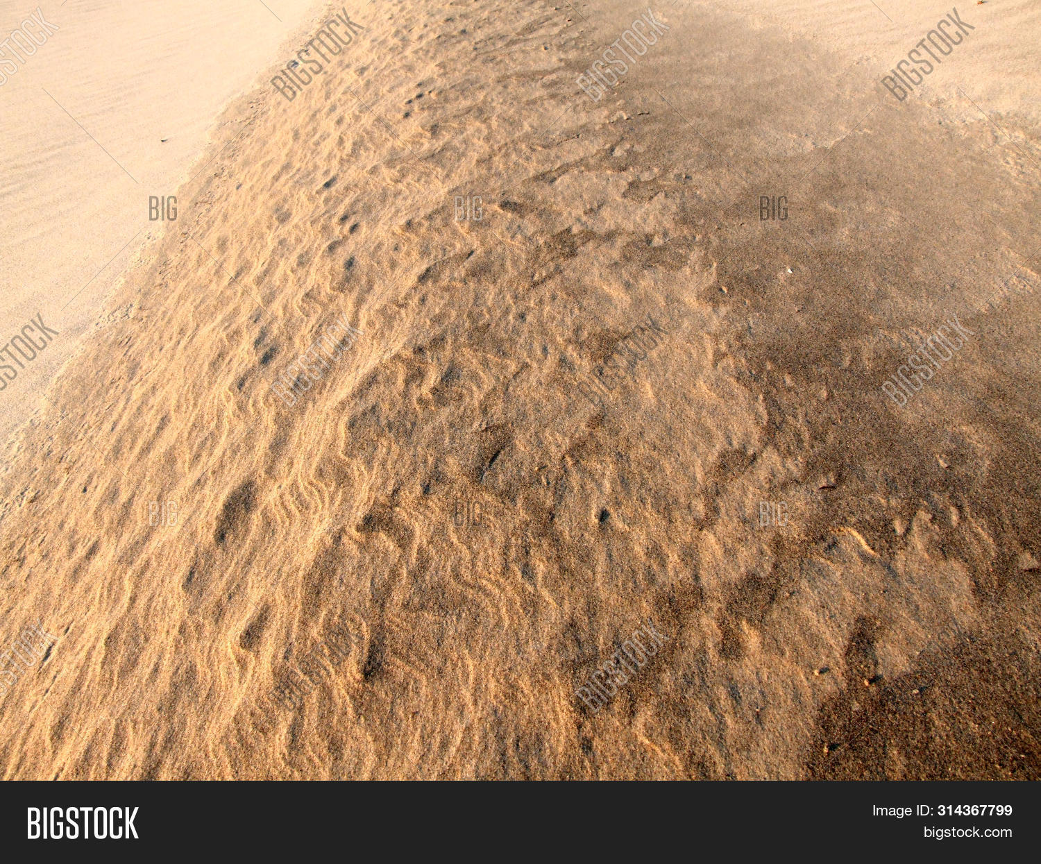 Beach Sand Background Image & Photo (Free Trial) | Bigstock