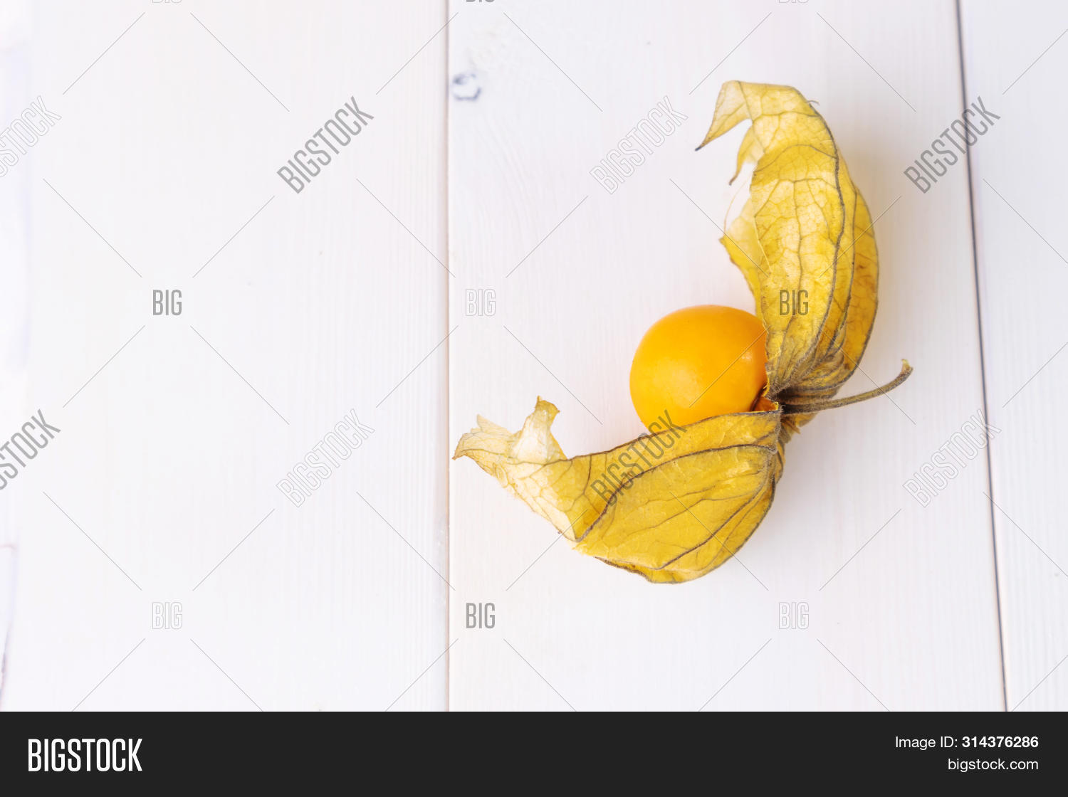 Physalis Fruit ( Image & Photo (Free Trial) | Bigstock