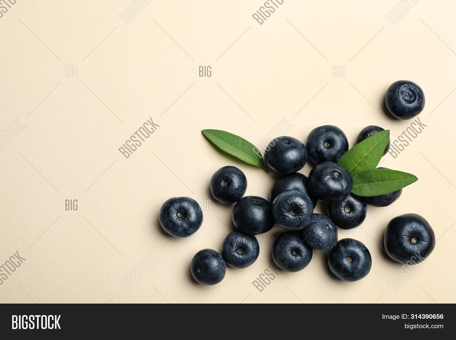 Fresh Acai Berries Image & Photo (Free Trial) | Bigstock