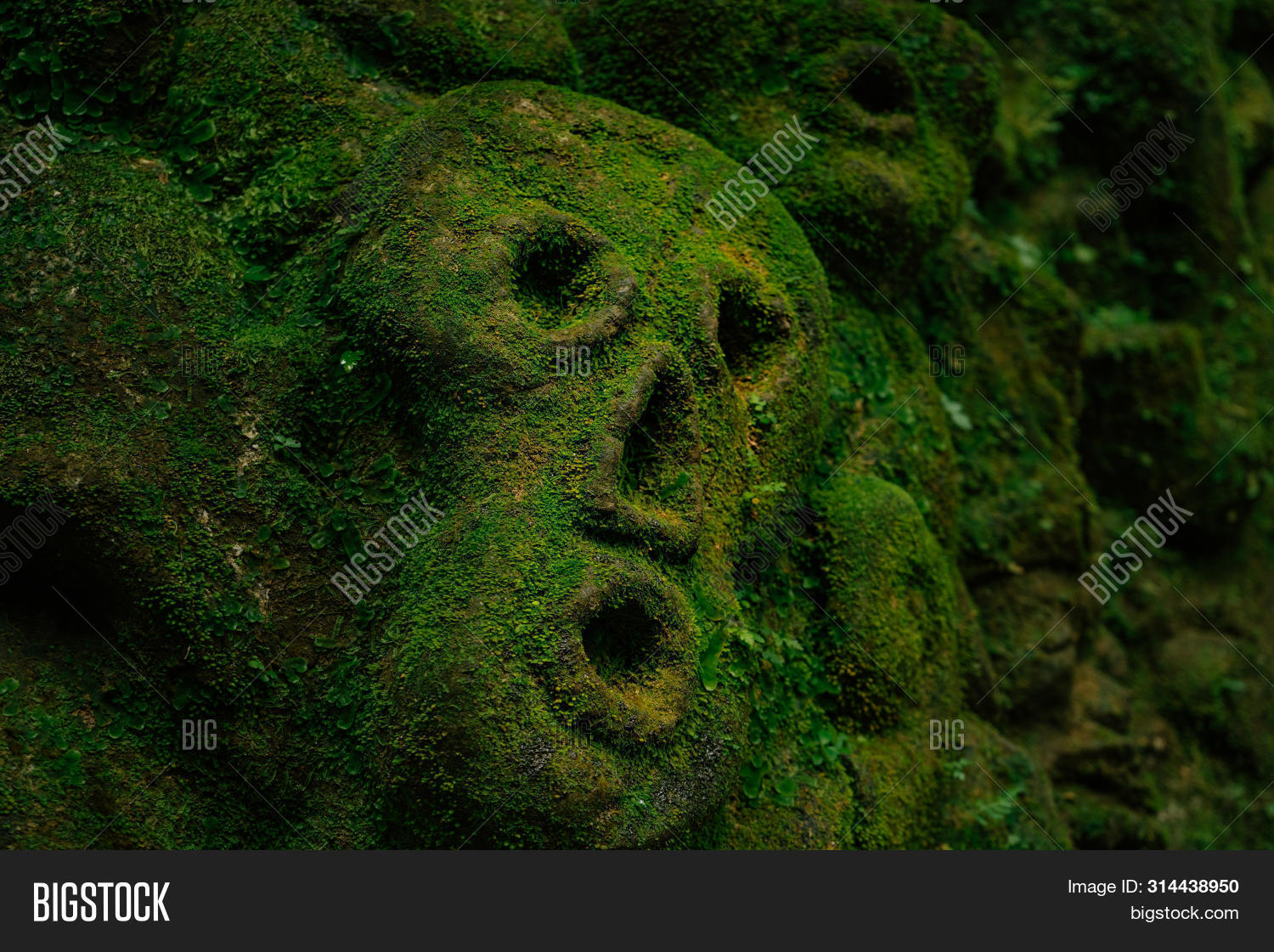 Carving Demons Faces Image & Photo (Free Trial) | Bigstock