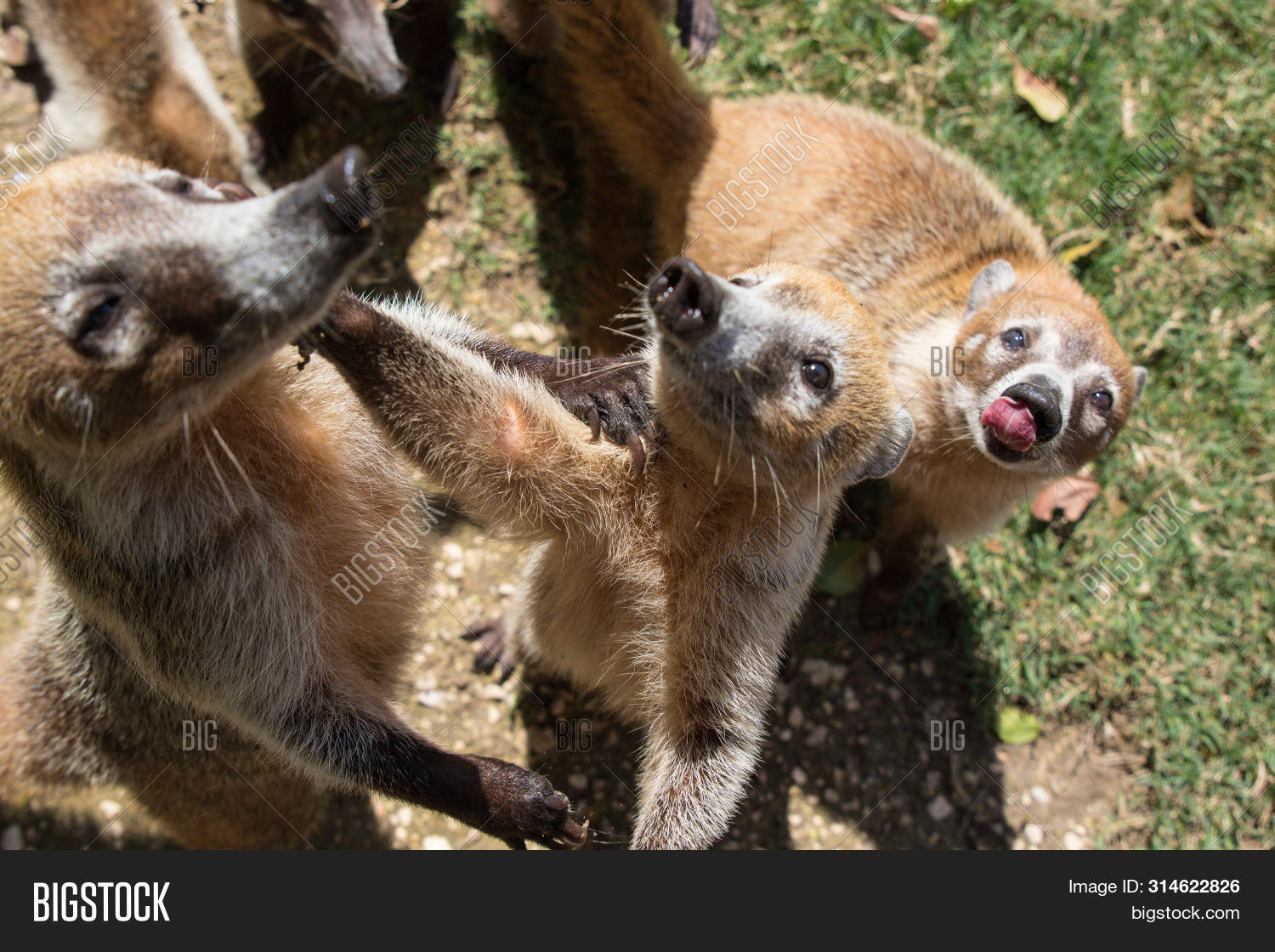 Portrait Group Cute Image & Photo (Free Trial) | Bigstock