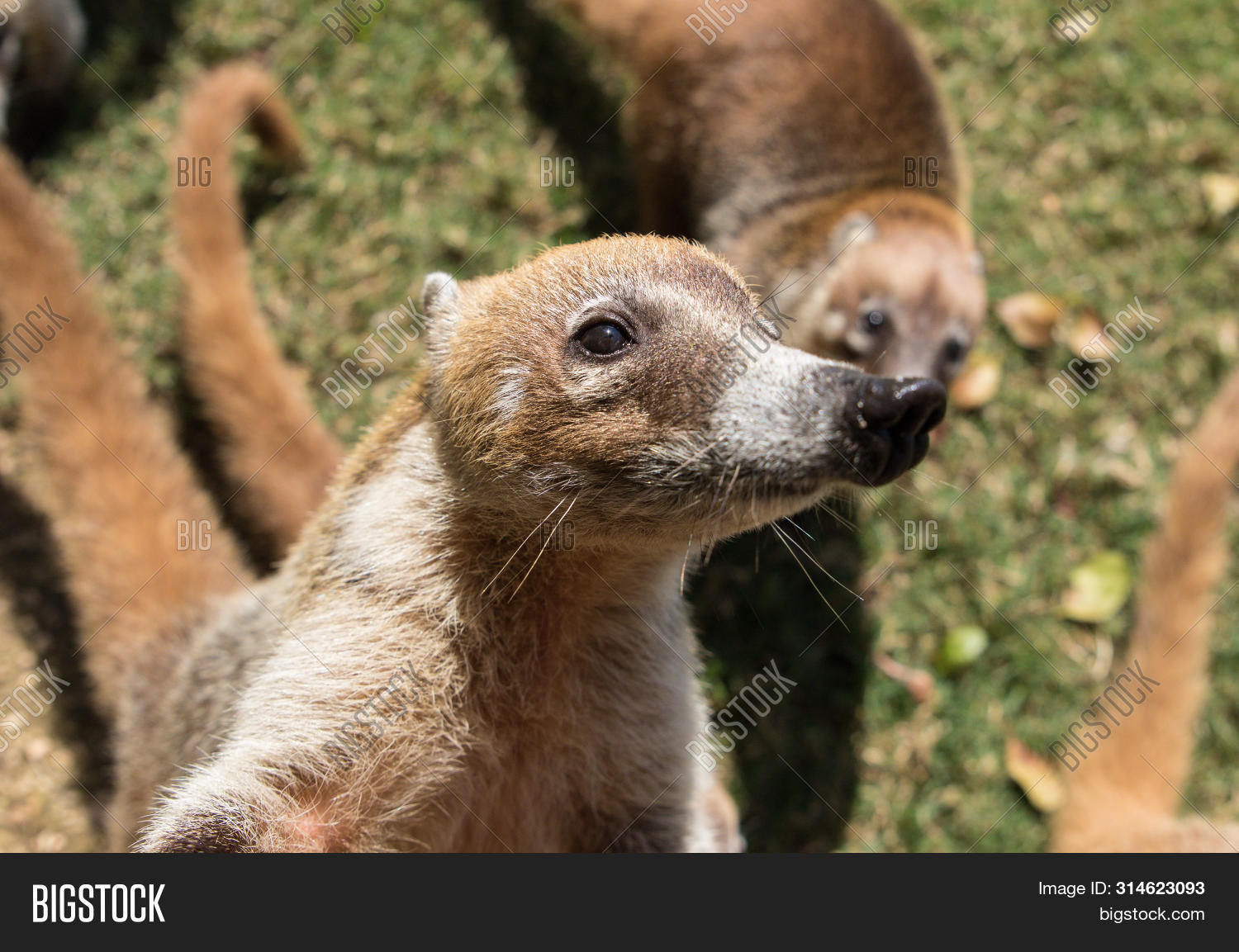 Portrait Group Cute Image & Photo (Free Trial) | Bigstock